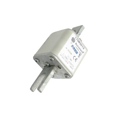 170M3013 170M3014 170M3015全新快速熔断器 电子元器件 库存充足