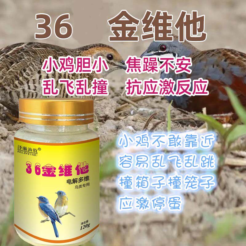 鸟用维生素36金维他电解多维羽毛芦丁鸡牡丹鸟食饲料添加养鸟常备