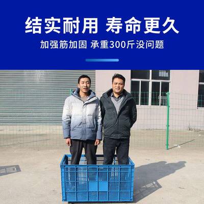 塑料TOE筐轮子大号长方形箱子带胶镂空加工厚快递框服装厂中转周