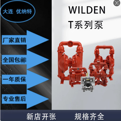 WILDEN威尔顿T系列气动隔膜泵 DN20 DN40 DN50 DN80