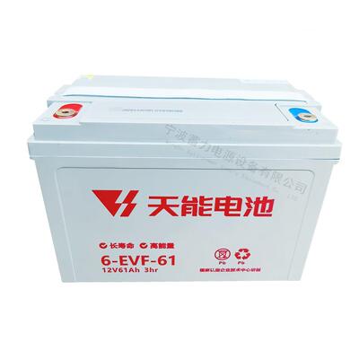 天能6EVF61-3蓄电池台励福龙工中力达西林诺力托盘搬运车叉车电瓶