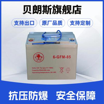 Torch/火炬蓄电池6-GFM-8512V85Ah免维护动力电池全国联保