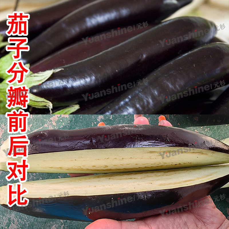 果蔬加工设备分半机 辣椒茄子分半机 青柠柠檬分瓣机
