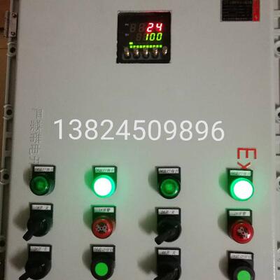 制IESDHQ2992258-5器/W自施能烧嘴点火IFS258-5/W动点火控箱配电
