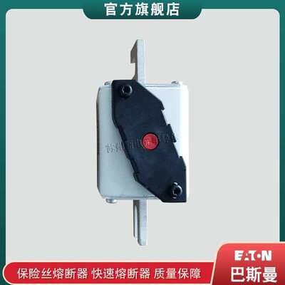 170M5249 5250 6458 6459 6460 巴斯曼bussmann快速熔断器保险丝