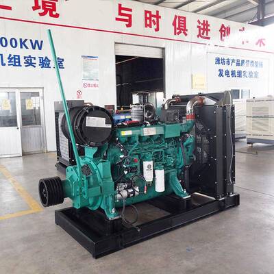 250KW动力BC-250GF发电机组工地学校备定用源柴油固电发电机组