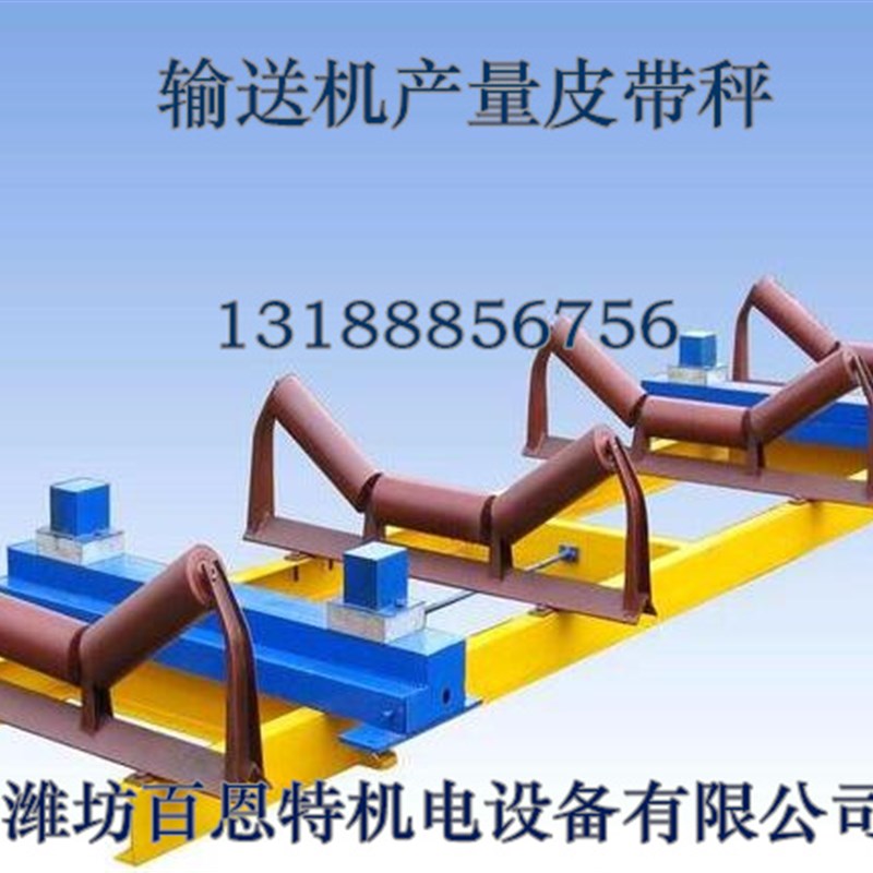 皮带机电子秤 皮带n秤流水线秤 动态给料皮带称 输送皮带电子秤