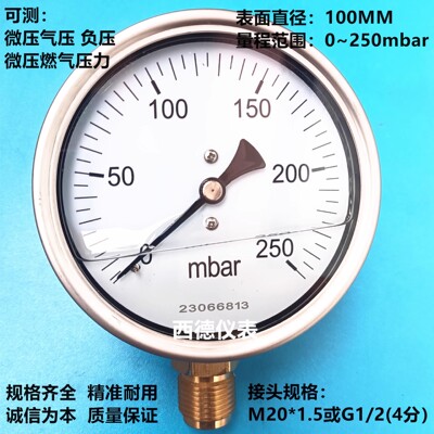 100MM直立式充油耐震防震0~250mbar微压气压表膜盒微压表