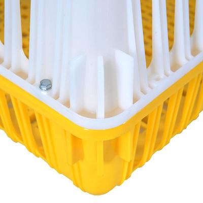 鸡鸭鸽子WAK周转运笼家殖禽养鸡周场塑料运输笼输加厚转筐养鸡笼