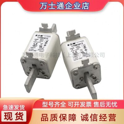 170M3568 170M3569 170M3570 170M3571 170M3572 170M3573熔断器