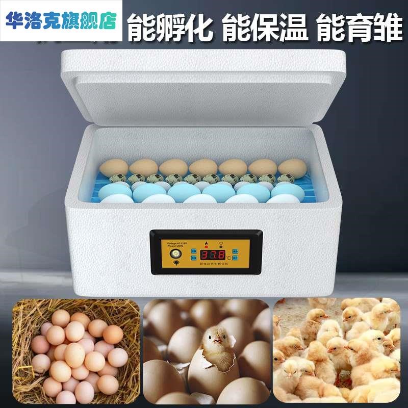 鸡蛋浮鸡箱家用小型孵化机全自动小鸡孵化设备卵化机器电热工具