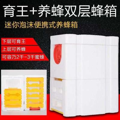 养蜂工具 双层育王箱 蜜蜂育王箱交尾箱 蜂王培育蜂箱 授粉箱套装