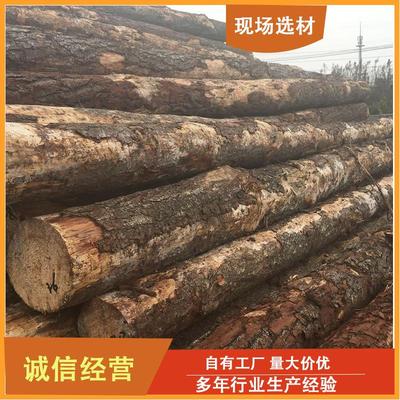 澳松原木木板河道护岸防汛松木桩工地打桩木澳松防腐实木木方