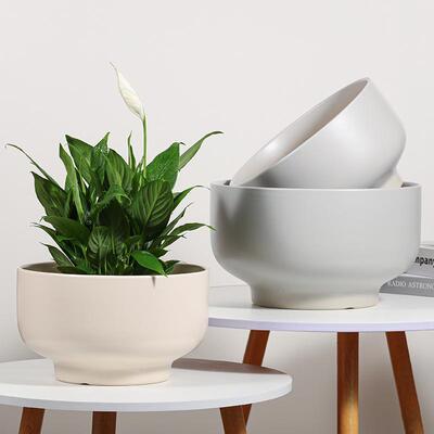 直特大销号花陶花盆PHK两件套创意简约盆大口径蝴瓷蝶兰绿植盆栽
