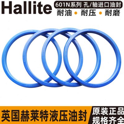 双向活塞hallite原装油封170*195 175*190 200 46088 46218 46089