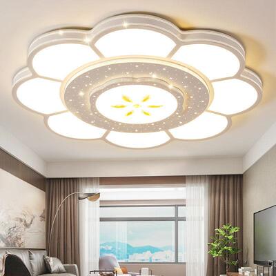 led客厅灯简约现代大气圆形吸顶灯大厅会议室特大灯1.21.52米