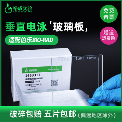 Western Blot玻璃板替代伯乐Bio-Rad WB电泳玻璃板 密封垫/支架