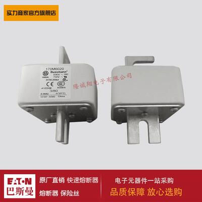 熔断器170M6021 170M3058 170M3059 170M3060 170M3061 170M3062