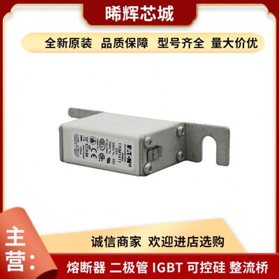 170M1412 170M1415 电子元器件 库存充足 型号齐全快速熔断器