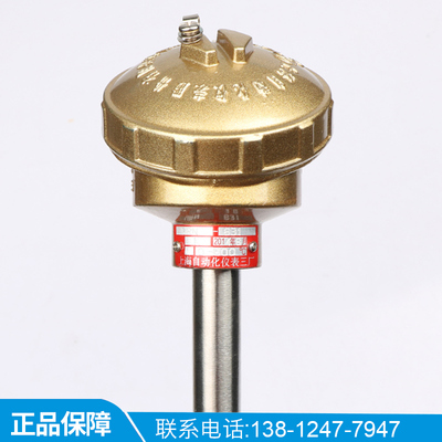 WRNN-631耐磨热电偶0-600WRNN2-631双支锥形热电偶 K型 0-800度