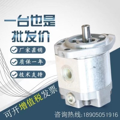 凯斯帕CASAPPA齿轮泵KP30.19.5/24/27/29/31/34/38/41/46/51油泵