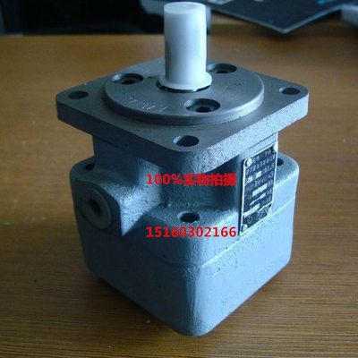 YLC仙居永灵叶片泵YB1-2.5/4/6.3/10/12.5/16/20/25/32/63/80/100