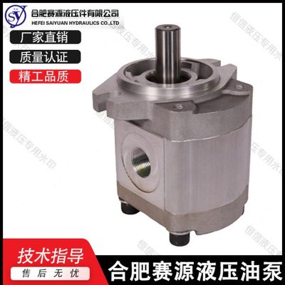 合肥赛源齿轮泵CBTDH-F16/F18/F20-ALHR CBQ-F520/F525-AFPR 油泵