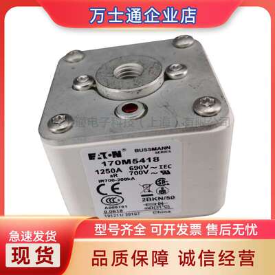 170M5966170M5967170M5968170M596170M5970熔断器原装现货