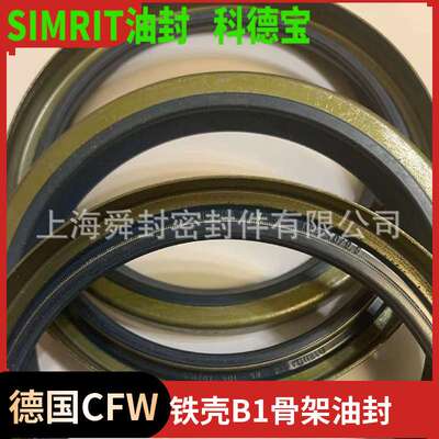 CFW-SIMRIT外骨架油封B1FUD20*28*6  DIN3761B/BS材质72NBR902