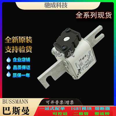 巴斯曼170M4259 170M4260 170M4261 大量现货价格优惠 快熔保险丝