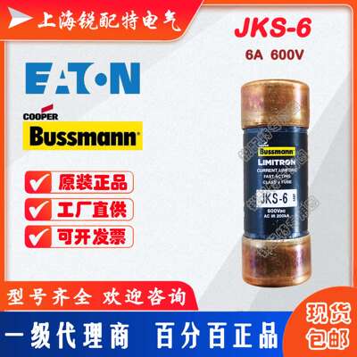 JKS-6 熔断器 600V 6A 巴斯曼BUSSMANN快速熔断器