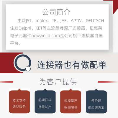 TE/泰科EV200GAANA 2-1618396-7 新能源汽车继电器接触器和开关