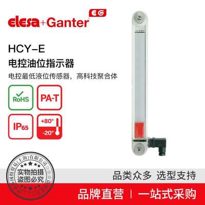 Elesa Ganter伊莉莎冈特 HCY-E 电控油位指示器 聚合体