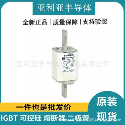 真空熔断器底座 170M3815 170M3817 170M3819 新能源熔断器 现货