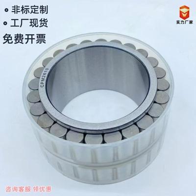 无外圈双列滚子轴承CRB-CPM系列齿轮箱专用轴承 减速机轴承 NKE轴