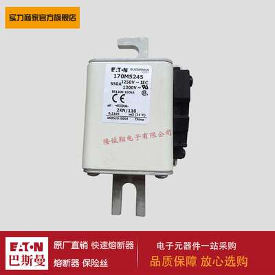 熔断器170M5243 170M5244 170M5245 170M5246 170M5247 170M5248
