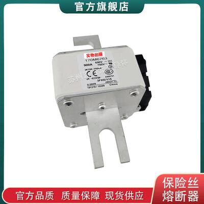 170M6785 6786 6787 6806 6788 6789 6790 6784 巴斯曼快速熔断器