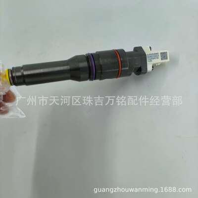 BEBJ1D04001 喷油器总成 DAF 2047600 2047601