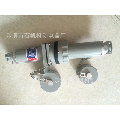 BWX 300A三相四极固定无火花防爆插销 插头 挂式连接器YT/GZ/YZ.
