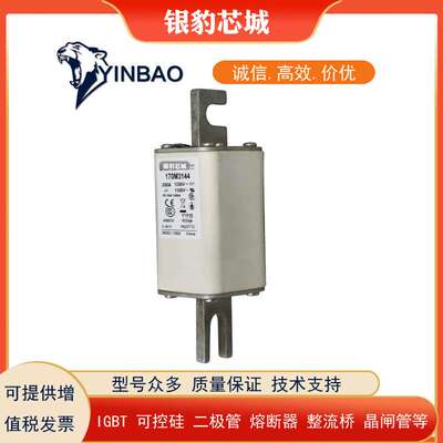 170M3268 170M3269 170M3270 170M3271 170M3272 170M3273熔断器