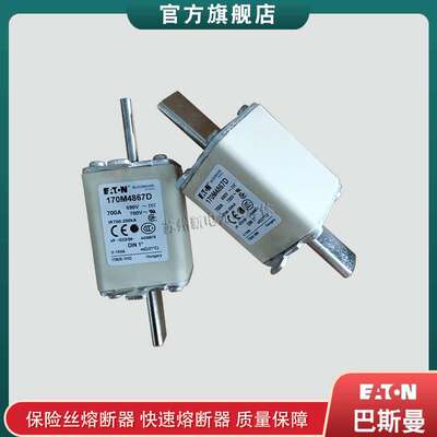 170M4863D 4864D 4865D 4866D 4867D 巴斯曼快速熔断器保险丝