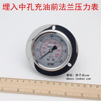 FTB轴向带边0-600KG液压表8500psi埋入中孔充油前法兰压力表PT1/4