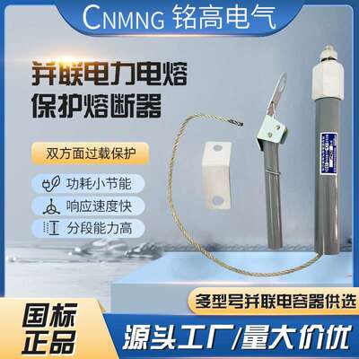 并联电力电容器保护用高压熔断器BR8W-7/50P/80P/100P/120P/150P