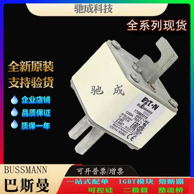 巴斯曼170M5018 170M5058 170M5059 原装进口厂价直供 低压熔断器