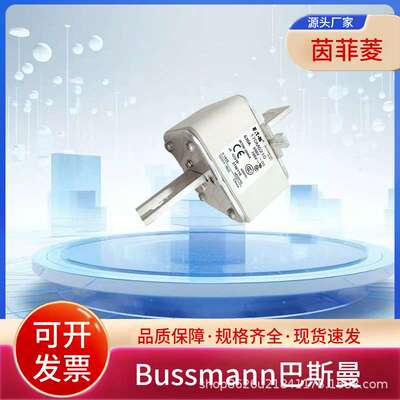 巴斯曼170M6214 170M6215 170M6216 170M6217 170M6218 170M6219