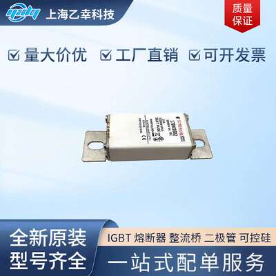 巴斯曼熔断器 170M1792 170M1793 170M1794 170M1795 170M1796