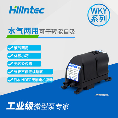 海霖WKY微型液泵 小型水气两用真空微型泵 工业级12V/24V微型水泵