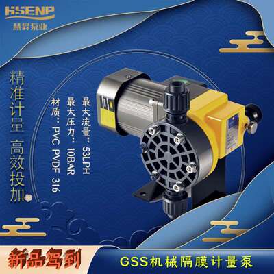 慧昇泵业 GSS系列机械隔膜 计量泵 精准投加 PVDF 25W PAC/PAM
