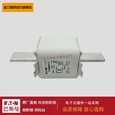 熔断器170M5813 170M6808 170M6809 170M6810 170M6811 170M6812