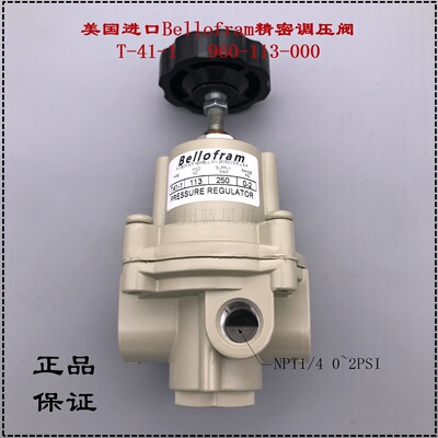 Bellofram精密调压阀14KPA 700KPA T41-1 960-113-000 -250 170